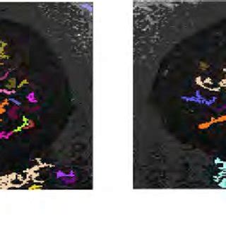 Segmentation A Before And B After Semantic Clustering Download Scientific Diagram