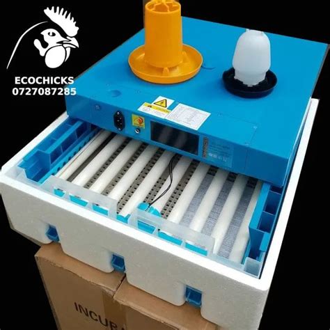 Egg Incubator Temperature And Humidity Ecochicks Poultry Limited