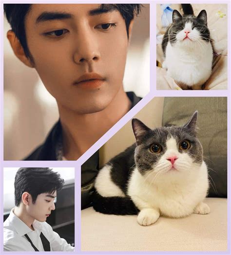 《告白气球 Love Confession》 Xiao Zhan Fancam 2017 04 02 Xnine Shanghai Concert Catsneed 《告白气球