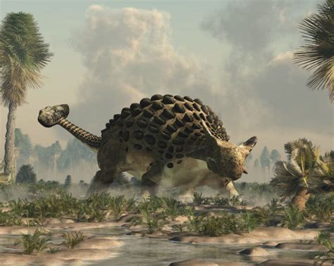 Ankylosaurus The Club Tailed Dino Dino Digest