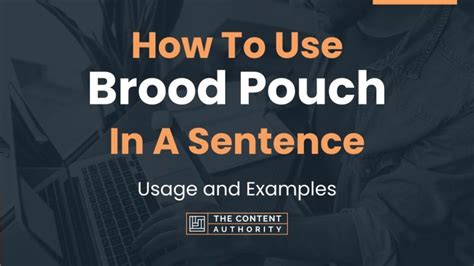 how to use brood pouch in a sentence usage and examples