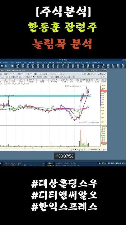 주식 한동훈 관련주 눌림목 분석대상홀딩스우 디티앤씨알오 한익스프레스 한동훈관련주 Youtube