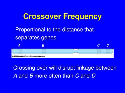 PPT Lecture 8 Genetics And Heritable Disease PowerPoint Presentation ID 266083