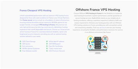 Which Is Best Vps Hosting France A Super Brief 101 Guide Bigbirdweb