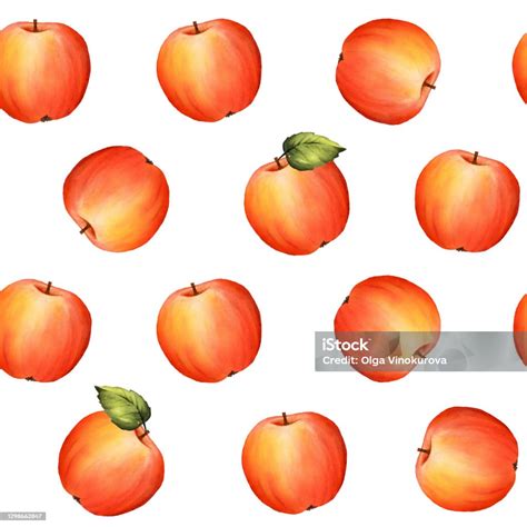 빨간 사과의 원활한 수채화 패턴 흰색 배경에 격리 추수 감사절과 수확일 스크랩북을 위한 음식 일러스트레이션 손 페인트 가리기에 대한 스톡 벡터 아트 및 기타 이미지 Istock