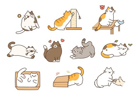 Fat Cute Cat Lifestyle They Are Joking Around Having Accidents And