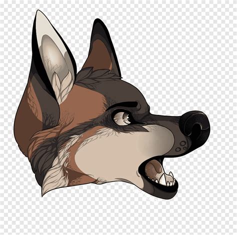 แมวและสุนัข หนวด ตีน จมูก การ์ตูน กรงเล็บ จมูก หู การ์ตูน แมว Png Pngegg