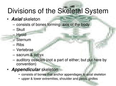 PPT OSSEOUS TISSUE PowerPoint Presentation Free Download ID 2754334