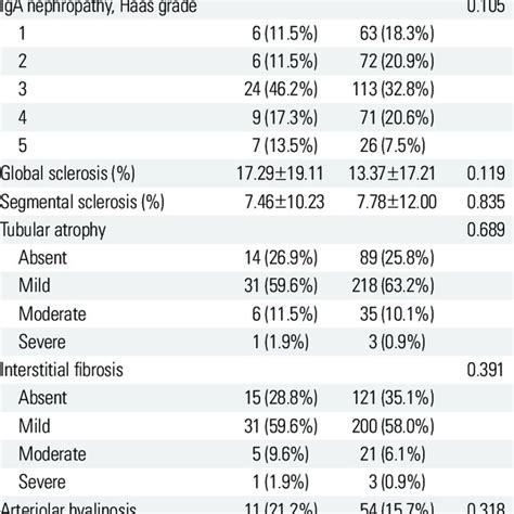 Morphologic Variables Of Oxford Mest Classification Download