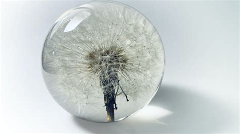 I Created A Bouncing Ball Using This Simple Html And Css Codes Youtube