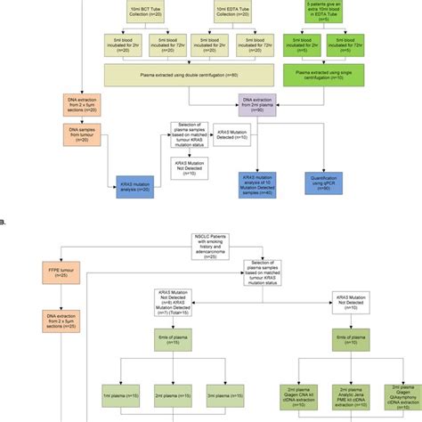 Sample Workflow Schematic Diagram Showing The Experimental Workflow
