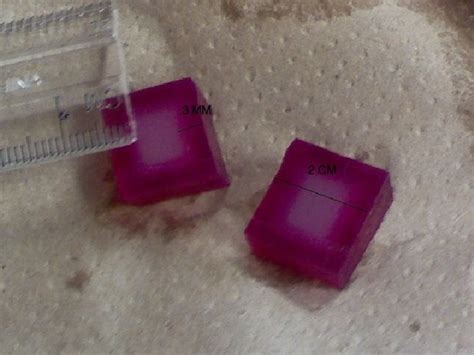 Cell Size Lab Procedure Sit In Your