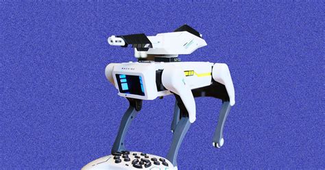 Our Temu Robot Dog Experiment Unexpected And Uncomfortable
