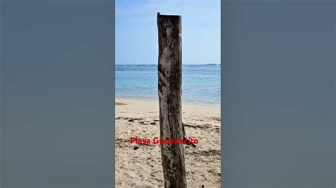Playa Guzmancito Repdom Youtube