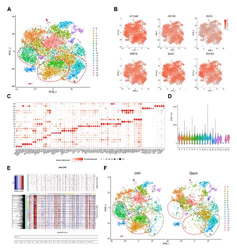 figure 2 from single cell rna sequencing revealed subclonal
