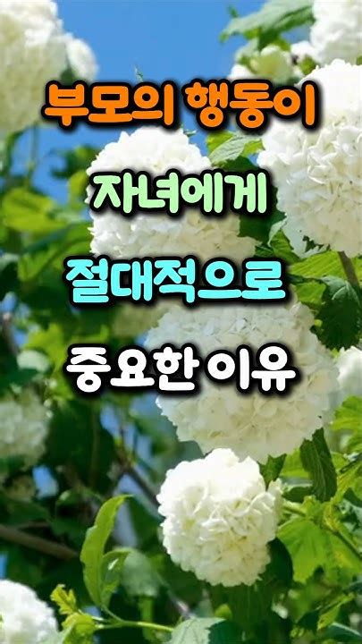 부모의 행동이 자녀에게 절대적으로 중요한 이유 인생 좋은글 자녀 Youtube