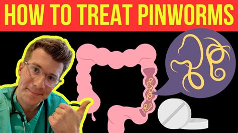 Doctor Explains How To Treat Pinworms Aka Threadworms Youtube