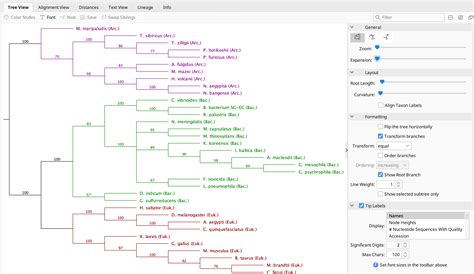 Phyml Plugin For Geneious Prime