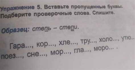 5 Вставьте пропущенные буквы Подберите проверочные слова Спишите Образец смель степи