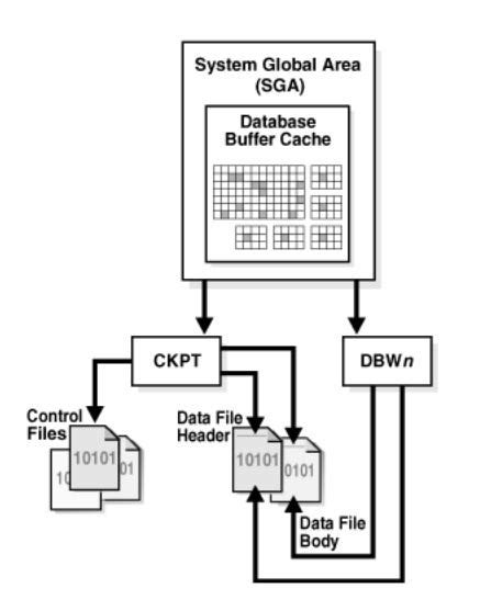 Database Archiving In Oracle With Syntax And Examples By Sudip