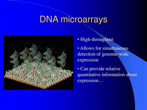 Ppt Serial Analysis Of Gene Expression Powerpoint Presentation Free Download Id3137900