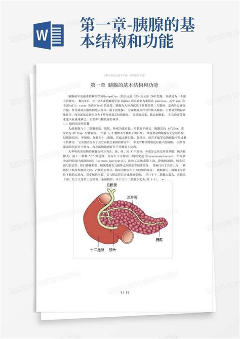 第一章 胰腺的基本结构和功能word模板下载编号lyzjdexz熊猫办公