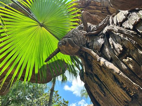 Photos A Close Up Look At The Immersive Queue Of Its Tough To Be A Bug
