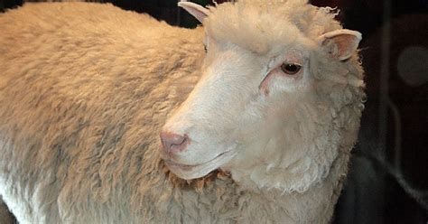 Dolly Upsc Note Learnerz Ias Concept Oriented Upsc Classes In Malayalam