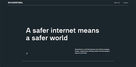 Socsentinel Custom Website Design Branding Studio Creative Design Firm Uxui Design