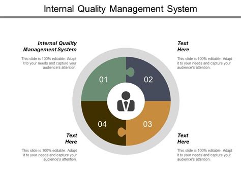 Internal Quality Management System Ppt Powerpoint Presentation Pictures Example