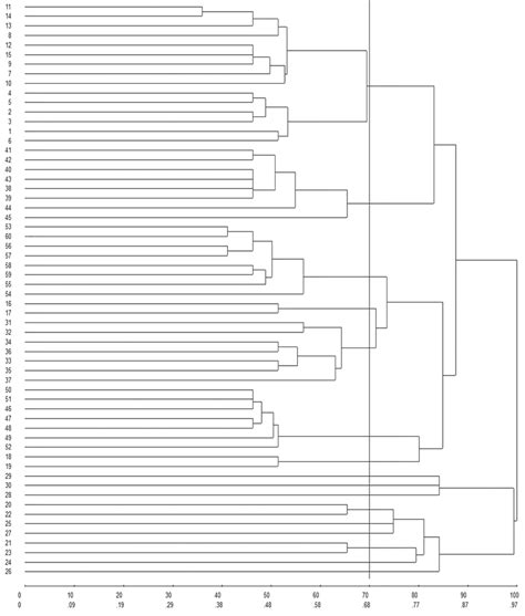 Dendrogram Obtained By Cluster Analysis Using The Mean Euclidean Download Scientific Diagram