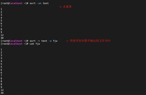 【linux】shell脚本的常用命令linux Shell脚本输出主机名 Csdn博客