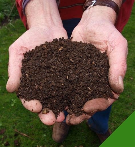 Home Compost And Industrial Compost Gruppo Flo