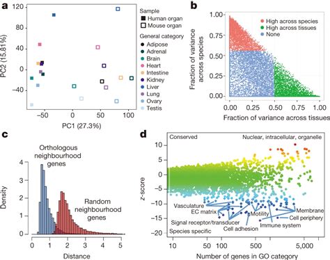 Deciphering Life One Bit At A Time Mouse Human Transcriptomics And Batch Effects