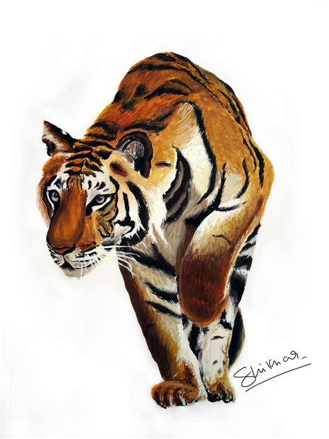 the tiger by shikhar srivastava on newgrounds