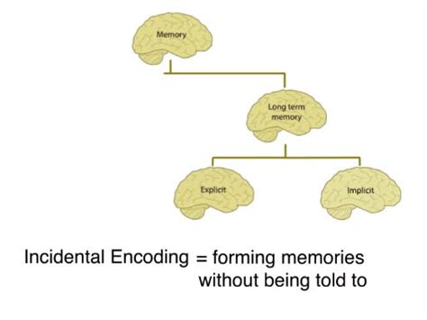 Video Incidental Encoding Investigating Implicit Long Term Memory