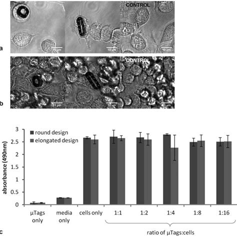 Bright Field Microscopy Image Snapshots Of Cells With Internalized Download Scientific