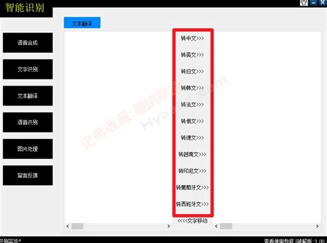 Windows 界面丑但功能强 智能识别v30便携版 黑域基地