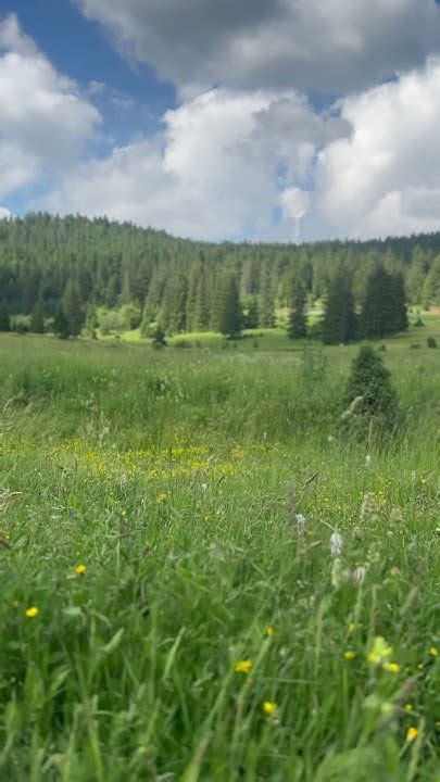 طبيعة بوسنا Youtube