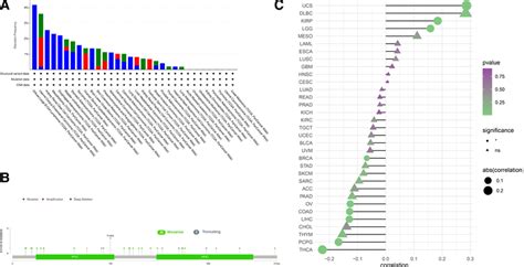 Genetic Alterations In Ppm1m Using The Cbioportal Database We Download Scientific Diagram