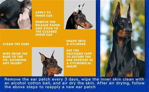 Dog Ear Support Tool Kit For Dobermans 4 Sets With Patches And Tape