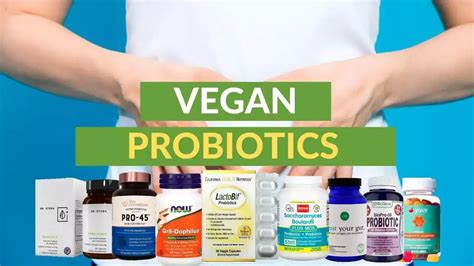 Top 8 Best Vegan Probiotics You Can Buy In 2025 Updated Guide
