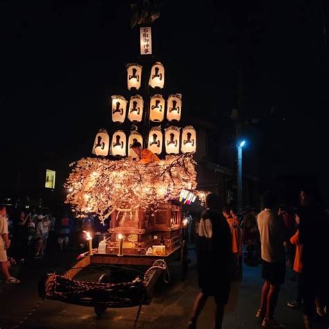 ๛tomo Tomo Swallow • Threads Say More