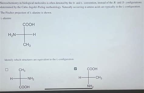 [solved] Stereochemistry In Biological Molecules Is Often