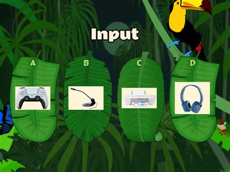Input And Output Quiz