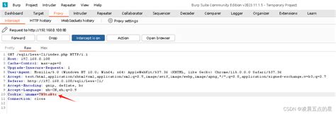 网络安全05 Sql Labs靶场全网最详细总结sql注入靶场 Csdn博客