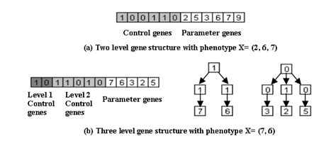 Example Of Hierarchical Chromosome Representation Download Scientific