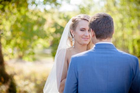 Bride Looking At Groom Gently Stock Photo Image Of Beautiful Bride