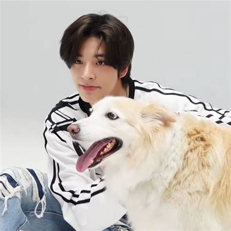 Jake And Layla Perrito