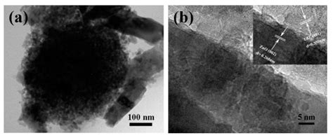 Structural Characterizations Of ZnO NRs TiO2 X MSs A TEM Image Of Download Scientific